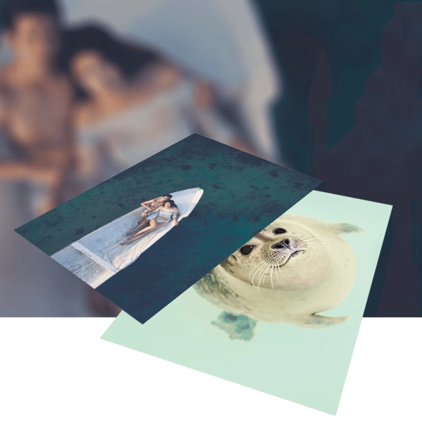 Indoor Posters | Prontaprint Bishops Stortford